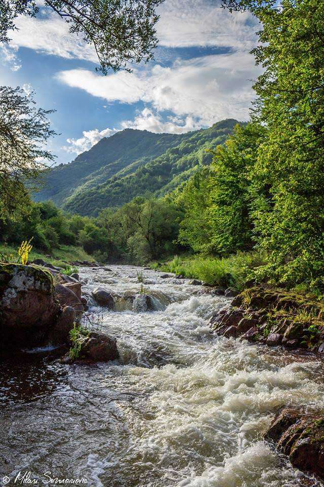 O Staroj Planini - Boni Plant Planet